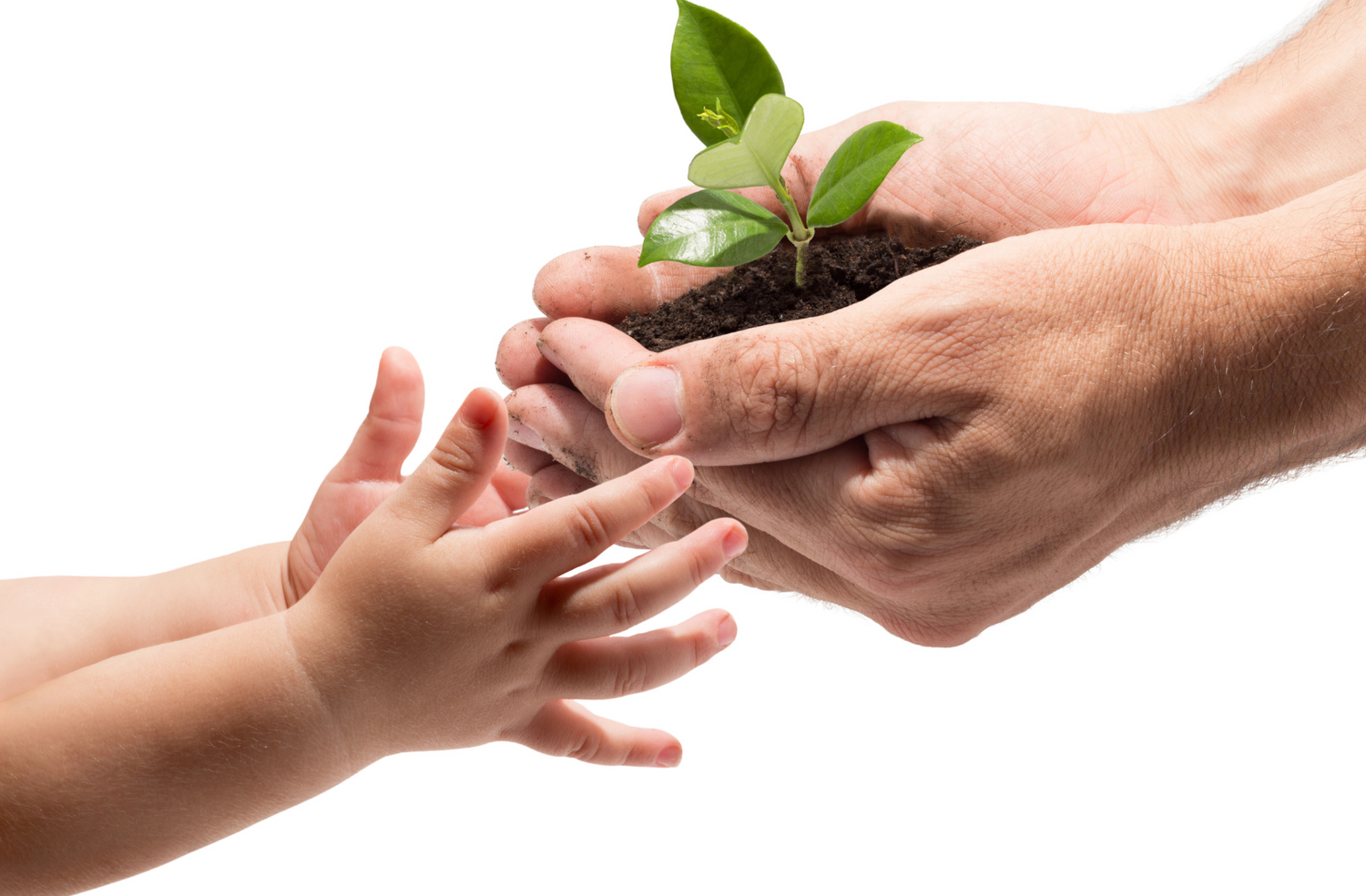 LynFit Nutrition®️| Natural Vitamins, Protein & Collagen Powders