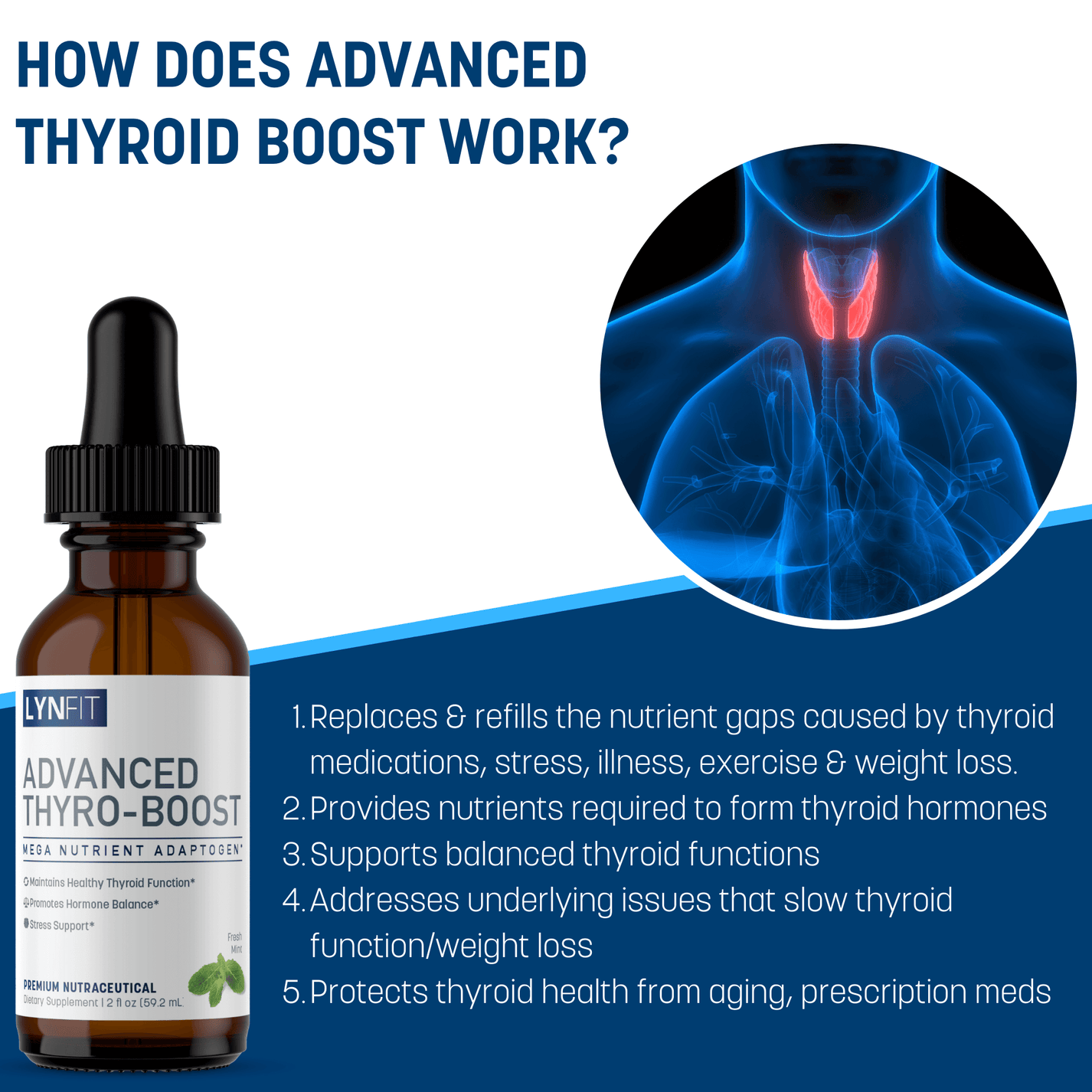 Thyro-Boost Natural Adaptogen for Thyroid, Adrenal, Cortisol Support w ...